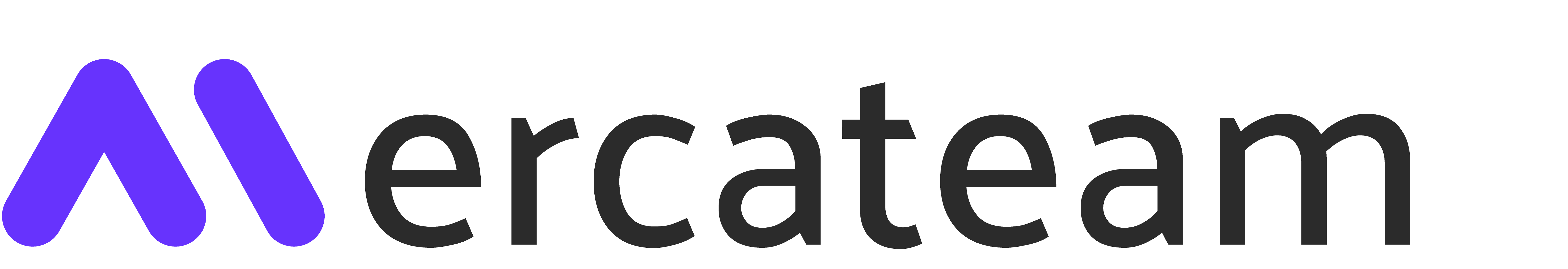 Mercateam | CCI Business